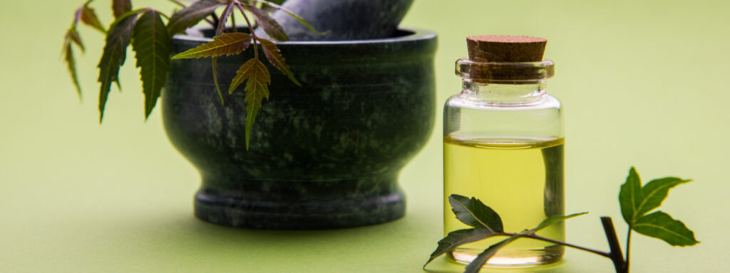 Ayurvedic Benefits & Uses Of Neem For Glowing Skin | Forest Essentials