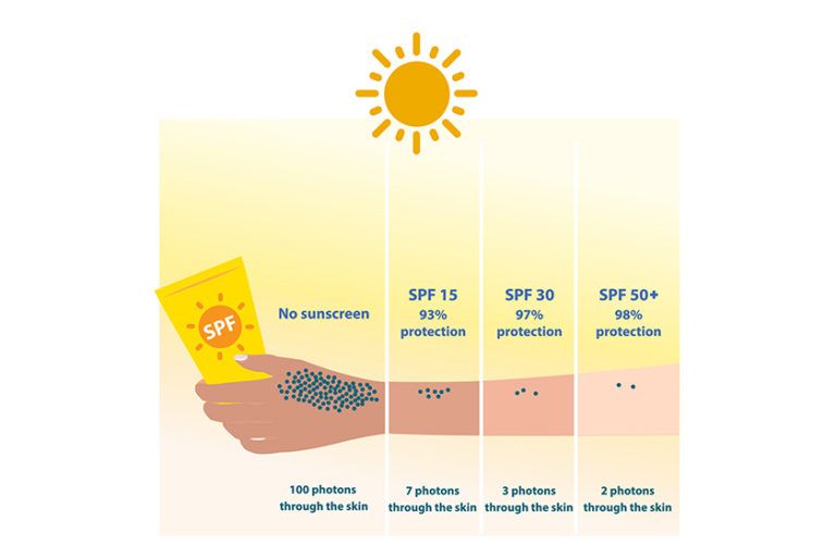 SPF 30 and SPF 50: Choosing the Right Sunscreen | Forest Essentials