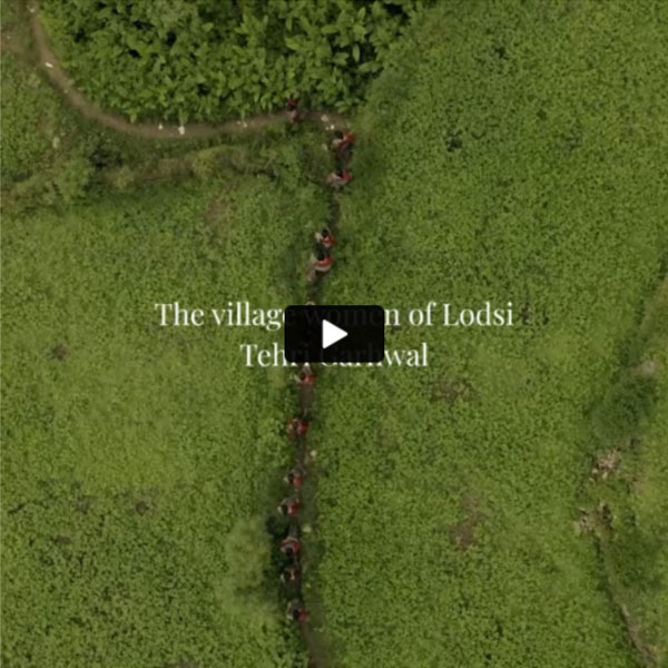 Luxury Ayurveda Beauty Store - Authentic Ayurvedic Products Online ...